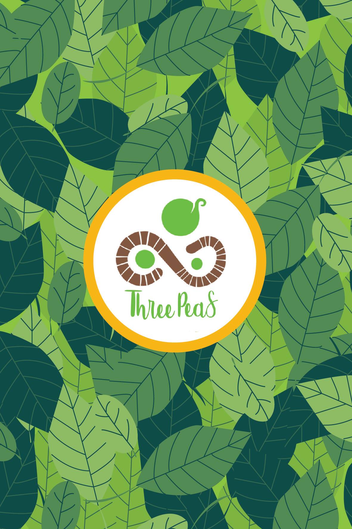 About 3PEAS 1.0 & 2.0 – Permaculture as a Path to Peace